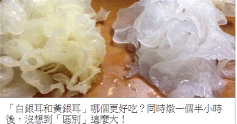白銀耳和黃銀耳哪個更好吃同時燉一個半小時後沒想到區別這麼大 PEEKME