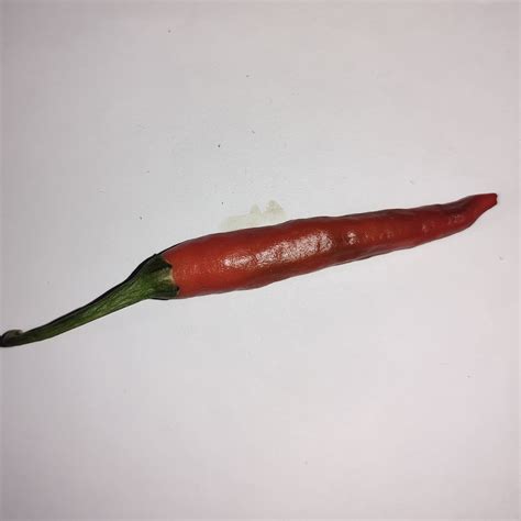 Chili Plant Disease Detection Kaggle