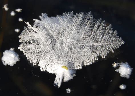 Frozen Ice Stock Image Image Of Frozen Water Icicles 57790901