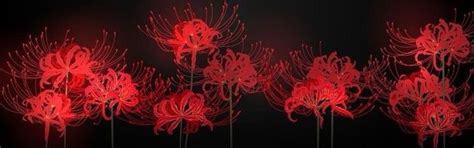 Pin By Oksana On Red Spider Lily Cute Headers For
