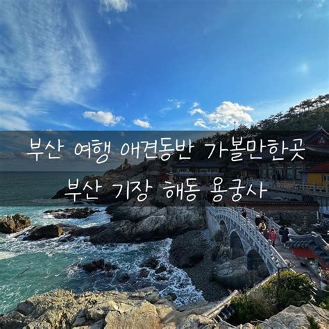 부산 여행 애견동반 가볼만한곳 부산 기장 해동 용궁사 네이버 블로그
