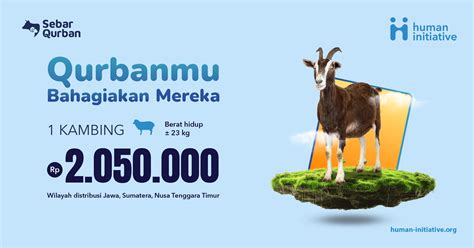 Kambing Domba Rp 2 050 000 23Kg SolusiPeduli Org