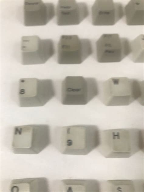 Buy Genuine Ibm Model M Keyboard Keycaps Letters Numbers Function Keys