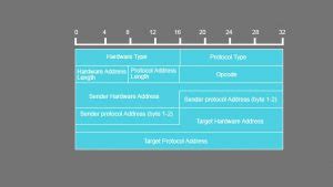 ARP Packet Format Structure Working Components Of ARP Packet