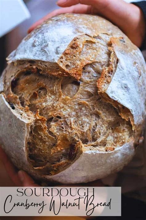 Sourdough Cranberry Walnut Bread Farmhouse On Boone