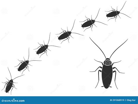 Cockroach Logo Design Vector Illustration Cockroach Design Template