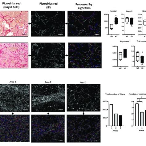 Examples Of Algorithm Usage A Implementation Of Module For Fiber