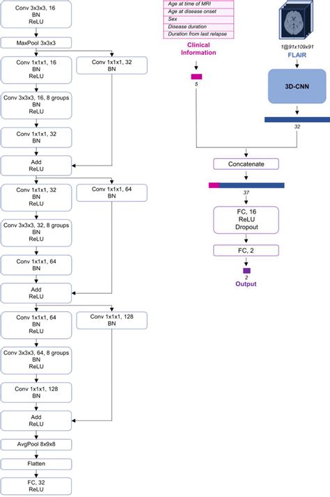 Cnn Architecture Of Kim Et Al 10 That Is Based On Resnext Cnn Architecture Of Kim Et Al 10 That Is Based On Resnext