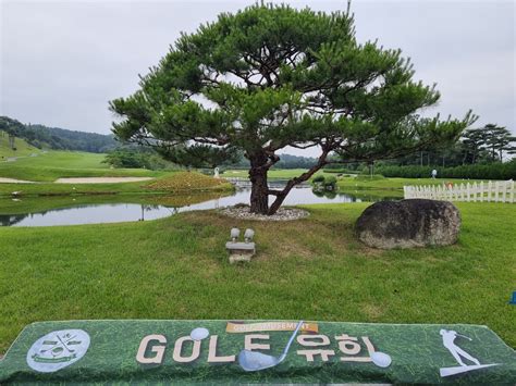 ⛳ 골프유희 ⛳시흥 배곧 장곡 장현 능곡 은계 정왕 송도 연수 논현 안산 Band