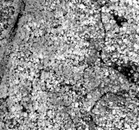 lidar — joint remote sensing research program