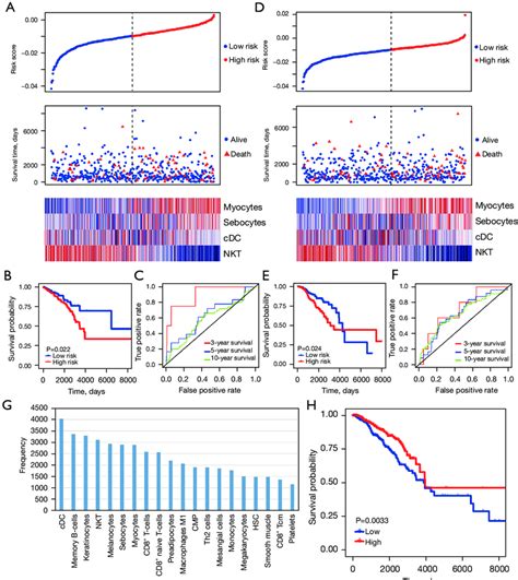 Lasso Cox Regression Of The Cell Scores With Tcga Cohort A The Download Scientific Diagram