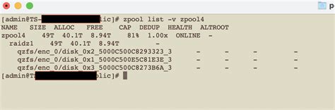 Pool Expansion With One Extra Drive Only Rzfs