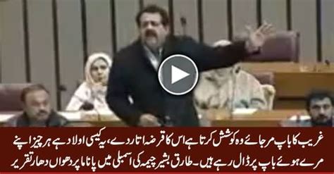 Pmlq Mna Tariq Bashir Cheema Blasting Speech On Panama Case In National
