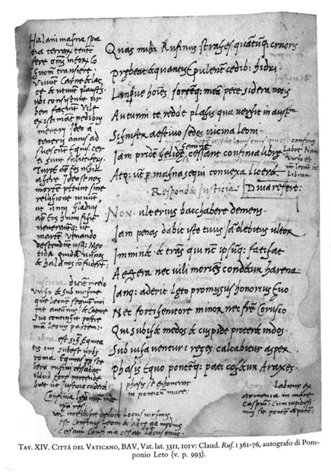 Julius Pomponius Laetus Alchetron The Free Social Encyclopedia