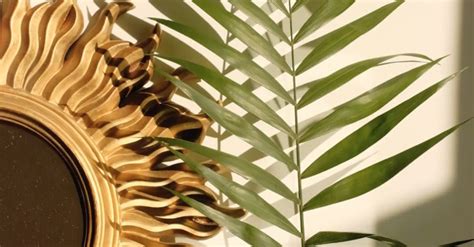 거울 고요한 그림자 꽃 나뭇잎 녹지 디자인 미니멀리스트 스타일 미니멀리즘 반사 방 장식 배경 봄 빛 반사 섬세한 수직 쐈어 스타일 식물