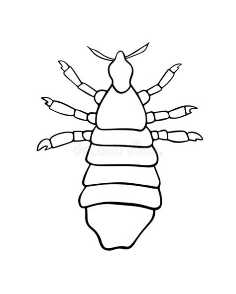 Vector Isolated Illustration Of Louse Human Louse Stock Vector