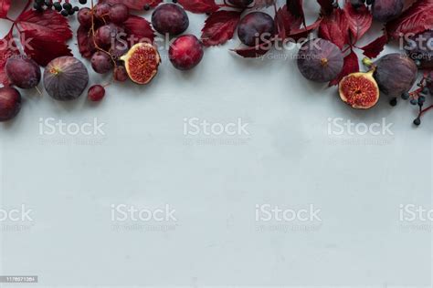 보라색 소녀의 경계 포도 잎 포도 자두와 회색 나무 배경에 무화과 맨 위 보기 플랫 레이 가을 수확 또는 추수 감사절 축 하