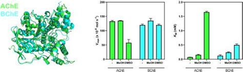 Analytical Biochemistry X Mol