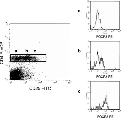 Representative Example Of Foxp3 Staining By Flow Cytometry According To Download Scientific