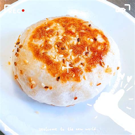 Pan Fried Buns