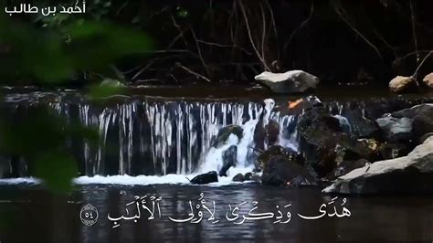 ﴿إِنّا لَنَنصُرُ رُسُلَنا وَالَّذينَ آمَنوا فِي الحَياةِ الدُّنيا