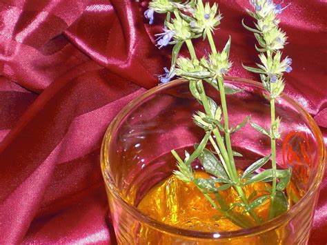 Anisette Drink Rezepte Suchen