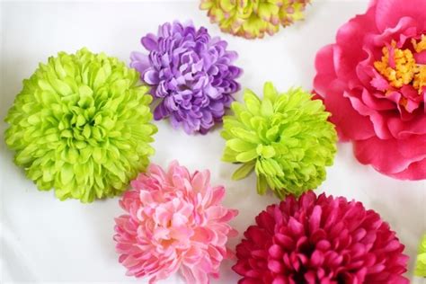いいマムの日。お供えだけではない菊の良いところとは？ 花だより