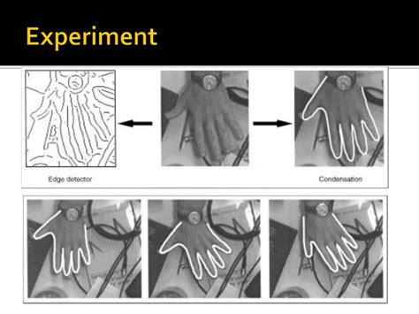 Ppt Condensation Conditional Density Propagation For Visual