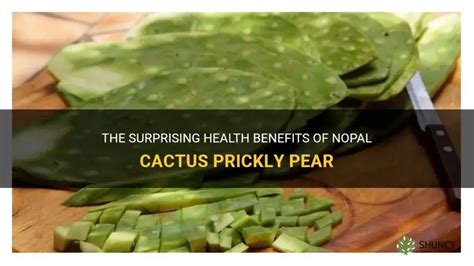 What Are The Health Benefits Of Nopal Cactus Prickly Pear Shuncy