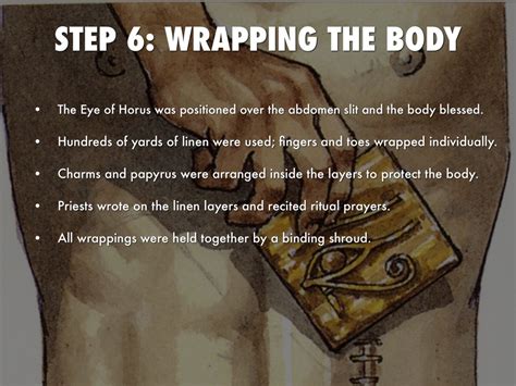 The 7 Steps Of Mummification By Carson Krueger