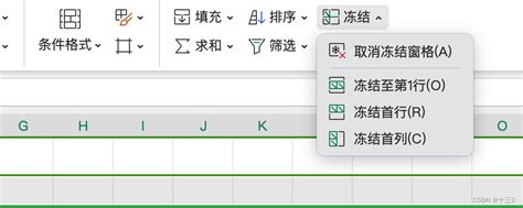 表格冻结第二行冻结第二行单元格怎么设置 Csdn博客