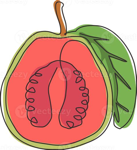 One Single Line Drawing Half Sliced Healthy Organic Java Guava For