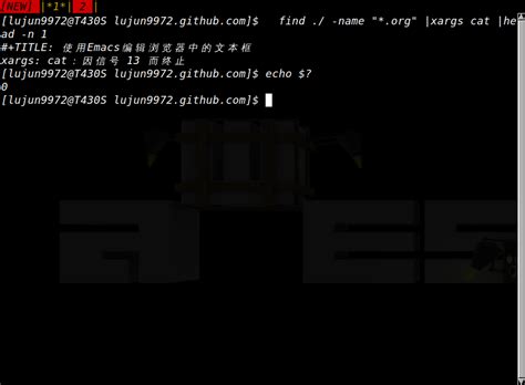 通过管道对接的进程被13号信号所杀 暗无天日