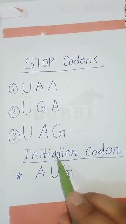 Trick📌 Initiation Codon🔥 Biologytricks Genetics Neet Postponeneet