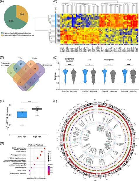 The Integrated DNA Methylation And Gene Expression Analysis Findings In