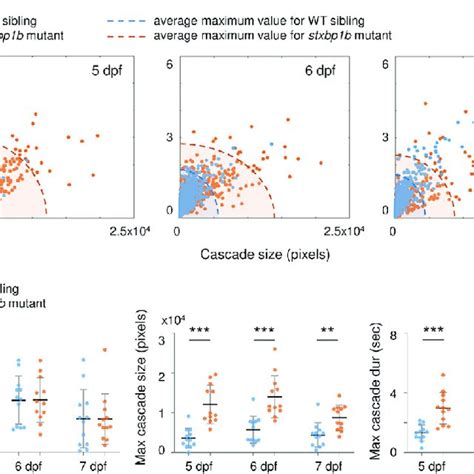 Cascade Quantification A Cascade Size Versus Duration On Different Download Scientific