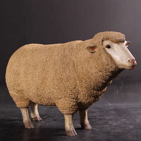 Merino Ewe Head Up Not In Aus Heinimex Ph
