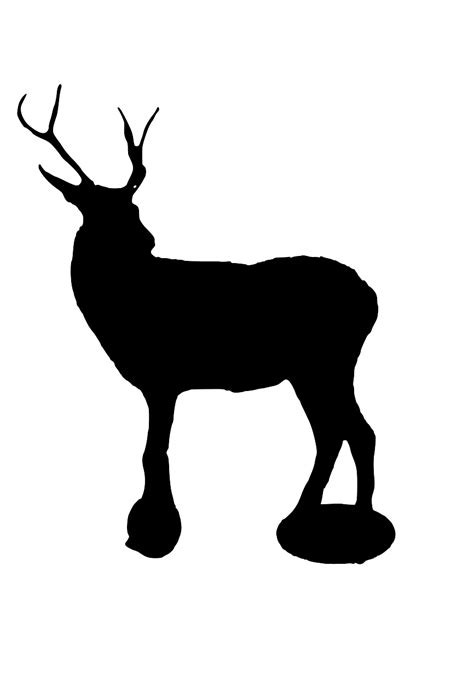 Svg ثلج بري كلوز خلفية صورة Svg And أيقونة Svg Silh