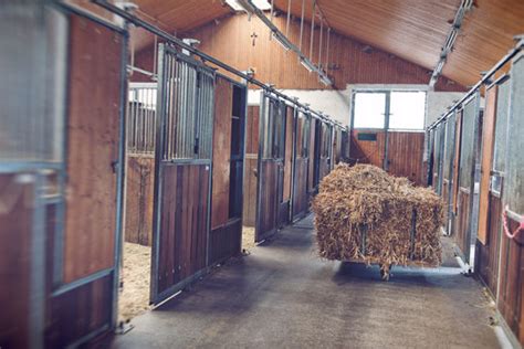 Stable Images Browse 162 189 Stock Photos Vectors And Video Adobe