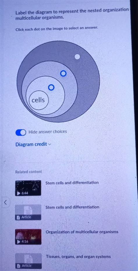 Solved Label The Diagram To Represent The Nested Organization