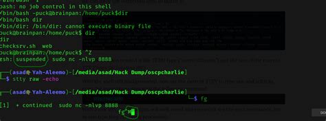 Linux Using Netcat Stty Not Giving Complete Tty Shell When Doing Ctrl
