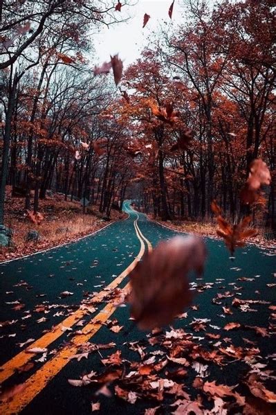 História A menina que sonhava Novos caminhos História escrita por