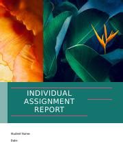 Individual Assignment 8295 1 Docx INDIVIDUAL ASSIGNMENT REPORT