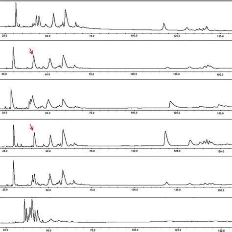 Reverse Phase Hplc Of Venom Samples On Lichrosphere ® Rp100 C 18