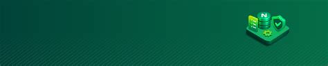 how to apply data governance for ibm netezza an easy guide