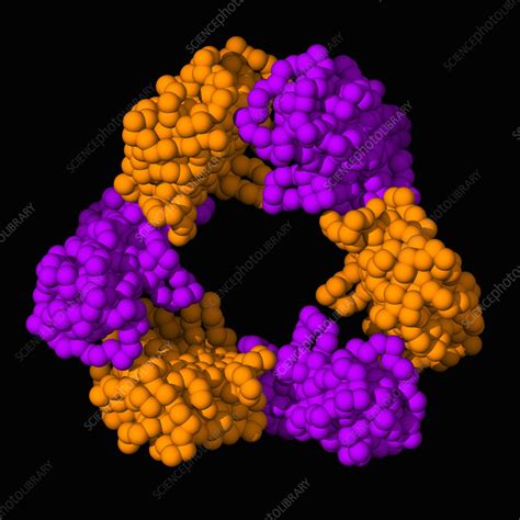 Dengue Virus Secreted Ns1 Protein Illustration Stock Image C057