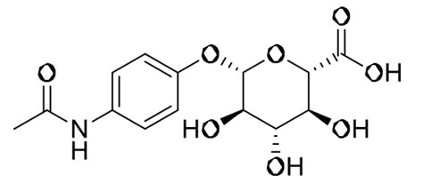 Paracetamol Glucuronide Cas 16110 10 4 Watson International Limited