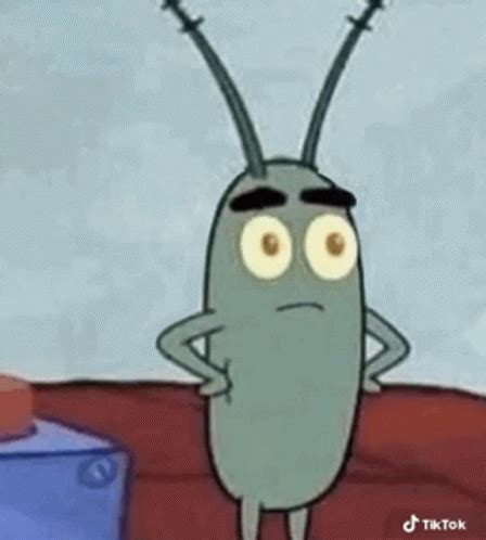 Barbznation Evr Plankton Gif Barbznation Evr Plankton Discover Share Gifs
