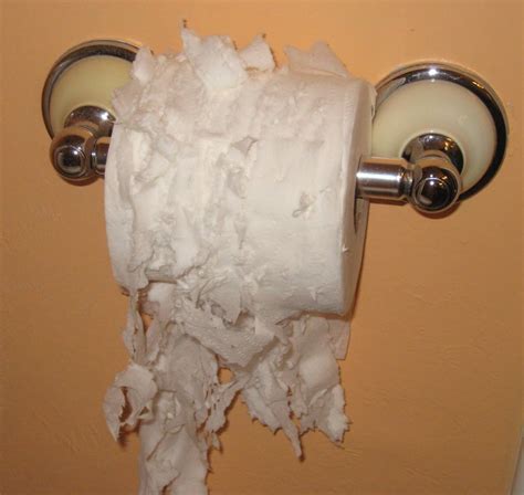 Music Asian Cinema And Life In General Shredded Toilet Paper Again What