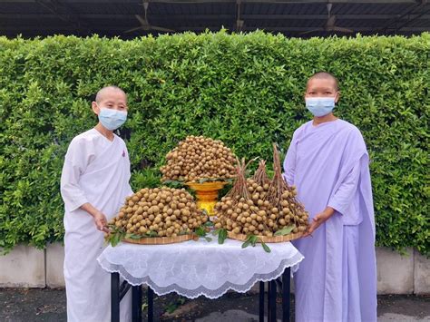 ลำไยออแกนิกวัดป่าดอยภูคา พระอธิการทองเติม อคฺคธมฺโม เจ้าอาวาสและคณะ